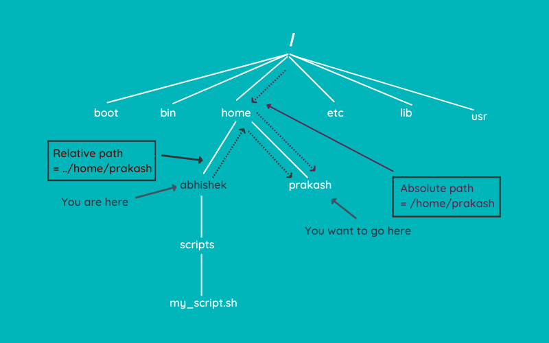 Changing Directories In Linux Terminal
