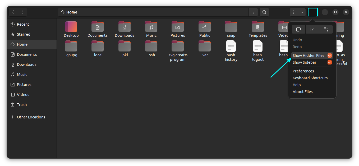 How To Show Hidden Files In Ubuntu Other Linux