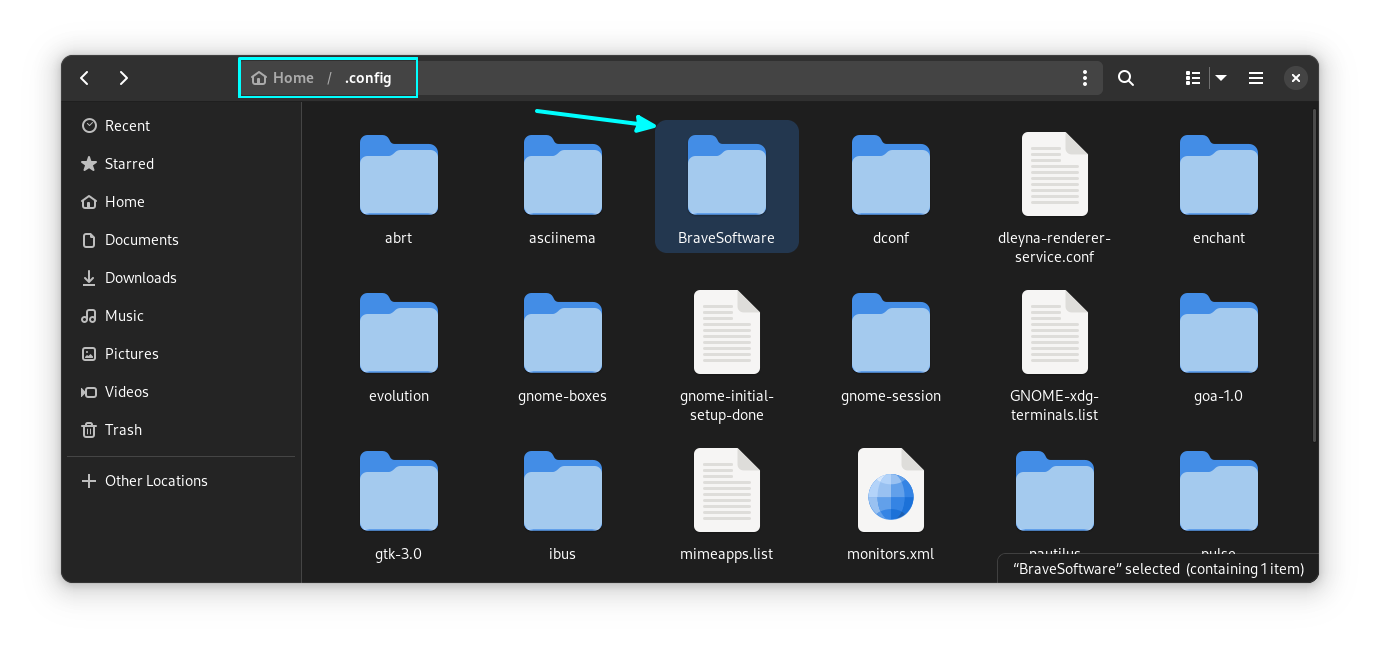 Installing Brave Browser on Ubuntu & Other Linux Distros