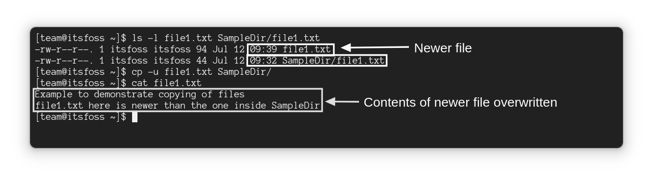 Using cp Command in Linux