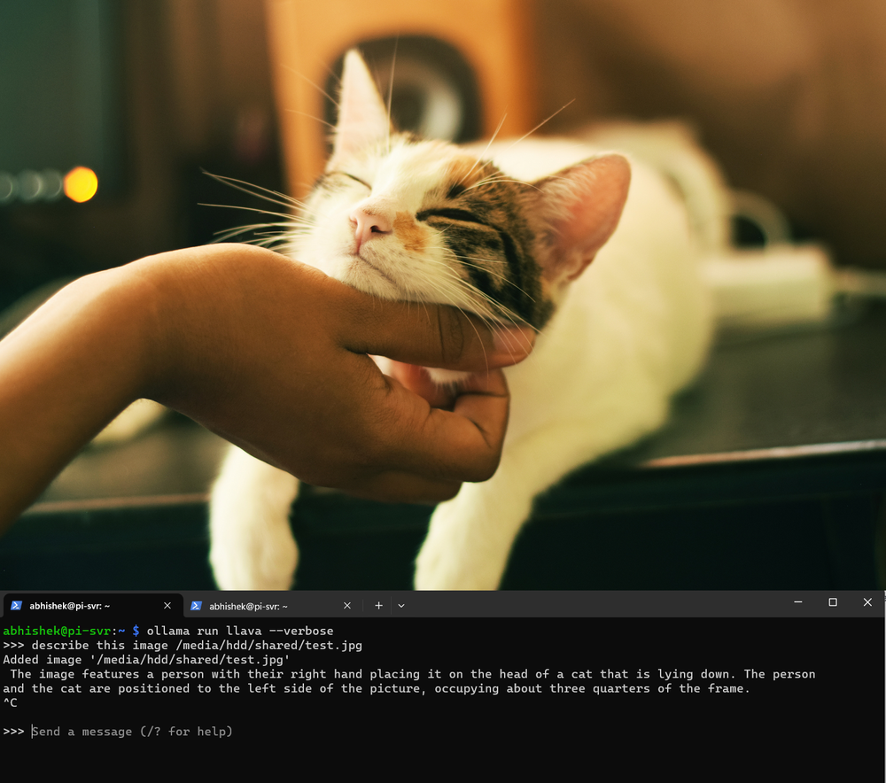How To Run Llms Locally On Raspberry Pi Using Ollama Ai