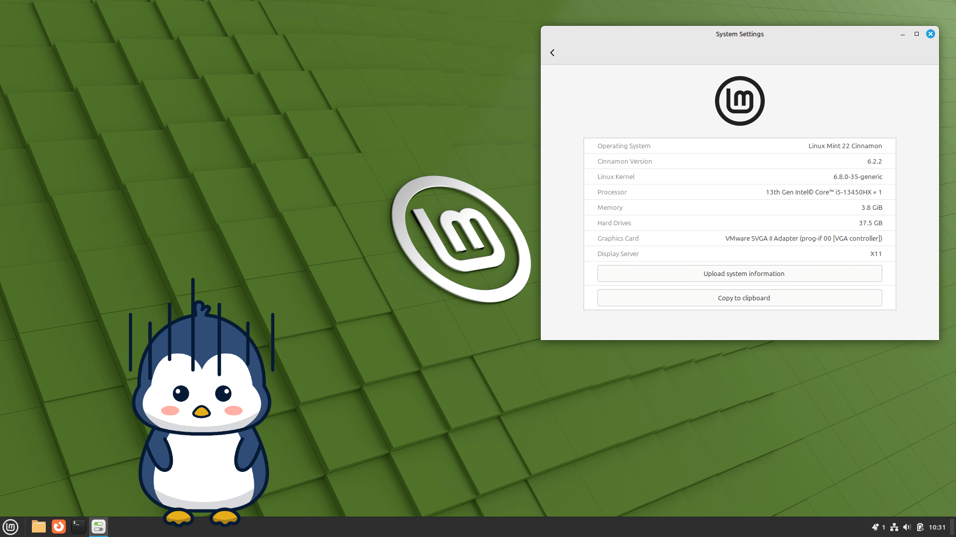 Linux Mint 22 Release Delayed Due to Nasty Bugs!