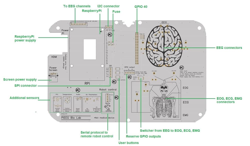 DIY Neuroscience: Meet the Open Source PiEEG Kit for Brain and Body Signals