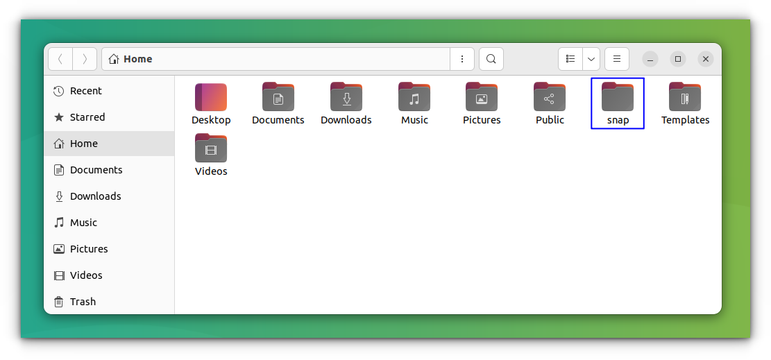 Uninstall Snap Packages from Ubuntu and Other Linux Distros