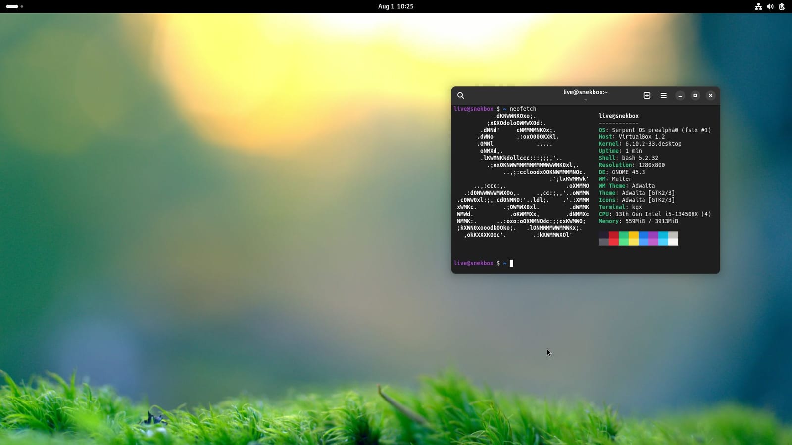 Early Distro Look: Serpent OS Slithers Its Way Into Computers