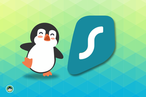 What is a Loop device in Linux?