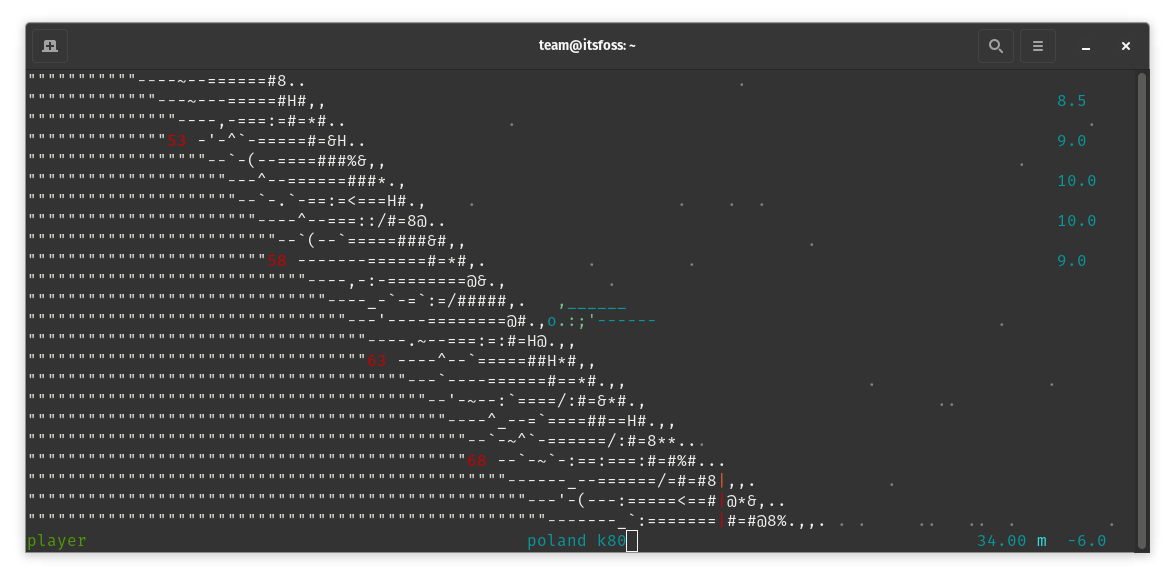 14 Best ASCII Games for Linux That are Insanely Good