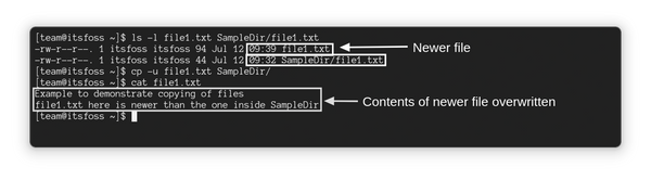Using cp Command in Linux