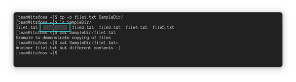 Using cp Command in Linux