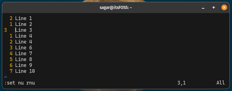 Show Line Numbers In Vim 