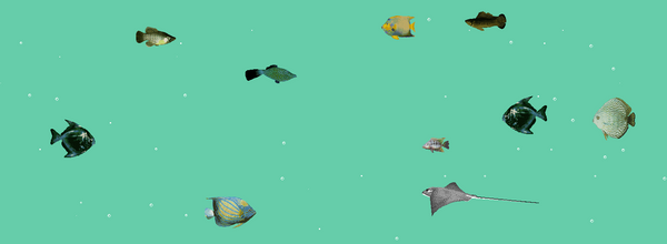 Using Asciiquarium for Aquarium in Linux Terminal