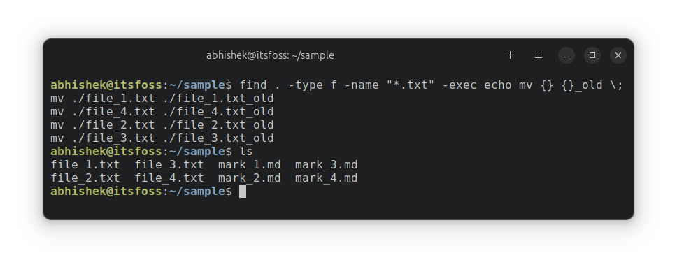 Rename Files and Directories in Linux Command Line