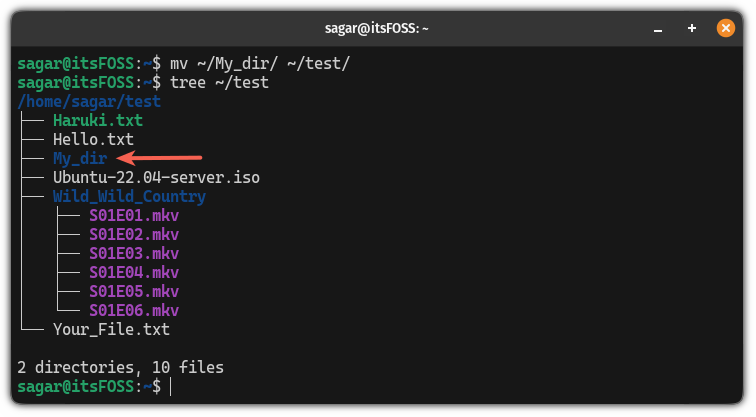 mv Command Examples in Linux