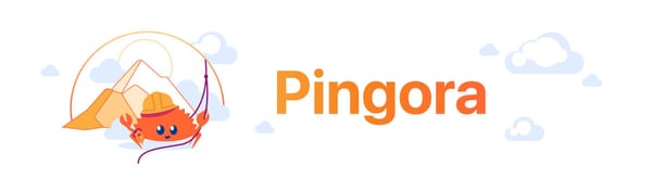 Nginx Challenger? Cloudflare's Pingora Rust Framework Goes Open-Source