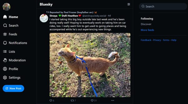 Bluesky vs. Mastodon: Which Twitter Alternative Should You Choose?