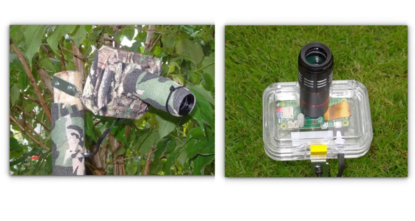 What Can You do With the Raspberry Pi's AI Camera?