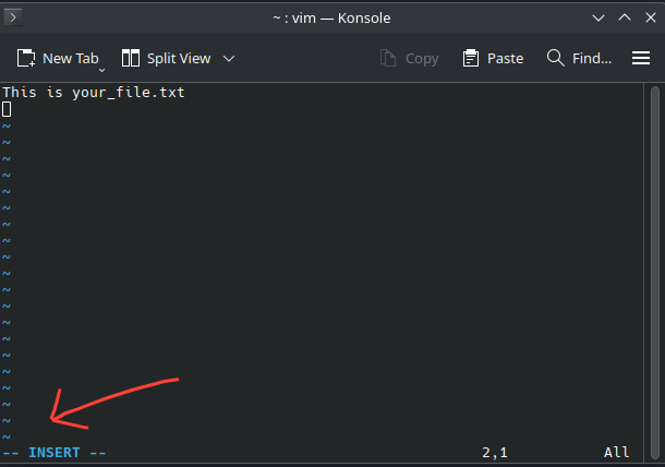 Vi Editor Basics: Must Know Commands