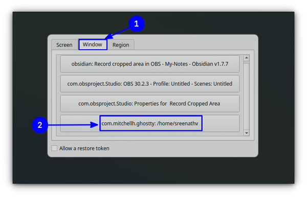 Record Windows and Cropped Area in OBS Studio