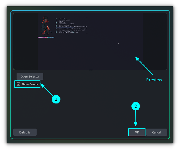 Record Windows and Cropped Area in OBS Studio