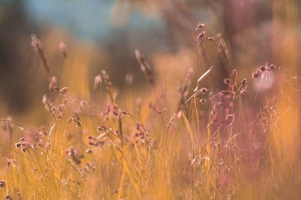 Every Ubuntu Default Wallpaper So Far