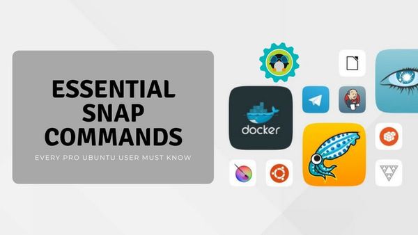 Using Snap Packages In Ubuntu & Other Linux [Complete Guide]
