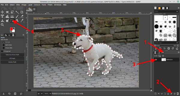 How to Make a Transparent Background in GIMP