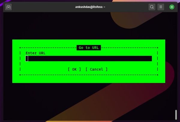 Best Terminal-based Web Browsers for Linux Users