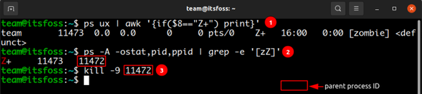 How to Find and Kill Zombie Process in Linux