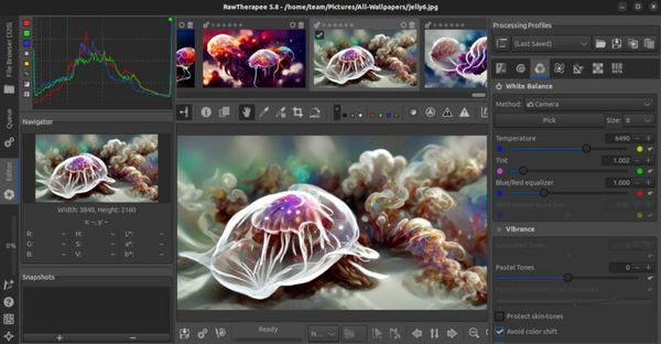9 Best Linux Photo Management Software