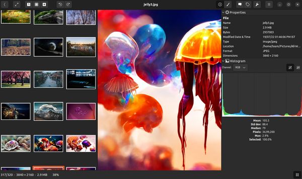 9 Best Linux Photo Management Software