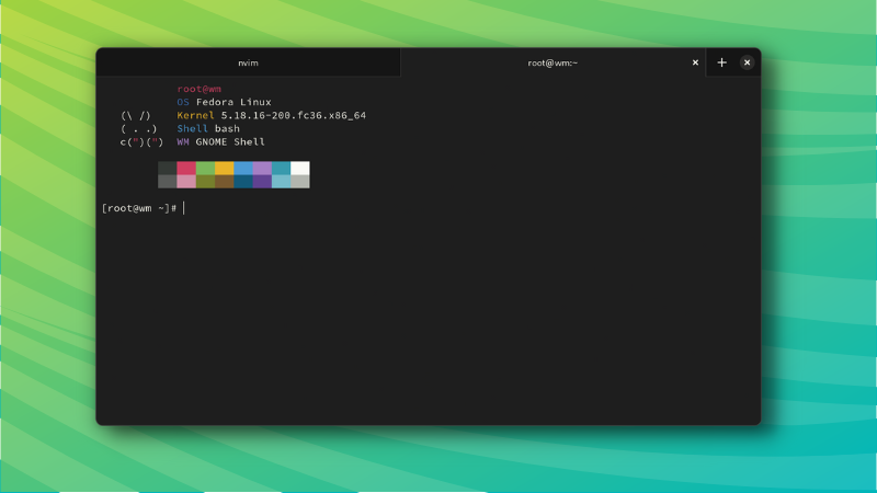 Discover Interesting Linux Terminal Tools