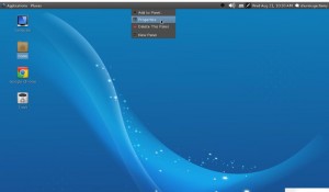 Countries With Linux Based National Operating Systems