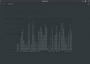 Best ASCII Games for Linux That are Insanely Good