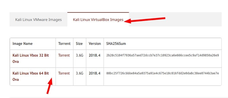 Installing Kali Linux on VirtualBox: Quickest & Safest Way