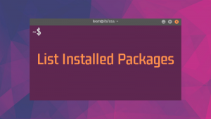 How to List Installed Packages on Ubuntu and Debian-based Linux Distributions