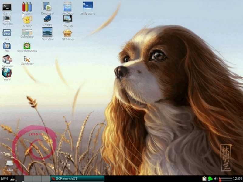 Meet DebianDog - Puppy sized Debian Linux