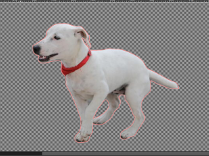 How to Make a Transparent Background in GIMP [Step by Step Guide]