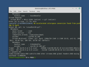 How to Convert Video to GIF in Linux [Terminal and GUI Methods]