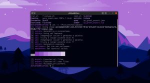 Automatically Change Color Scheme of Your Linux Terminal Based on Your Wallpaper