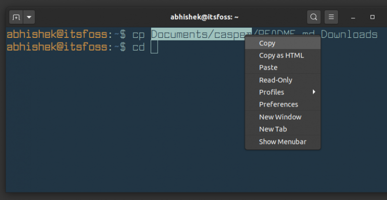 How To Copy Paste In Linux Terminal For Absolute Beginners 