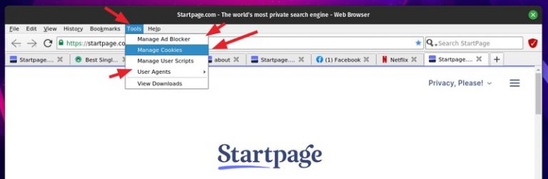 Viper Browser: A Lightweight Qt5-based Web Browser With A Focus on ...