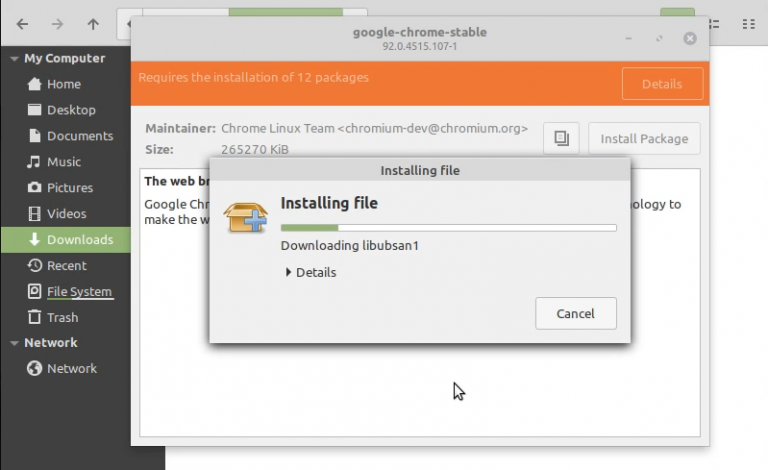 How to Install Google Chrome on Linux Mint [Beginners Tip]
