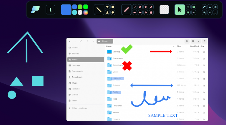 Pensela: An Open-Source Tool Tailored for Screen Annotations