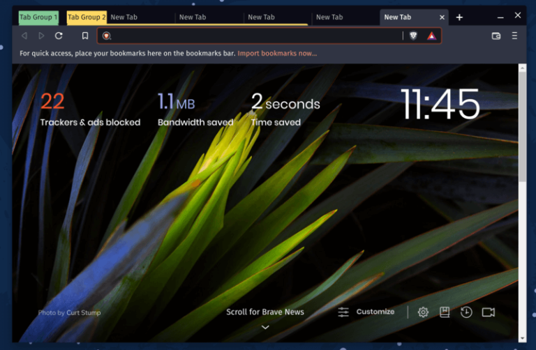 Brave vs Vivaldi: Which Chromium-Based Browser is Better?