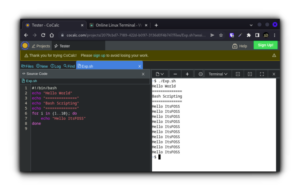Best Online Linux Terminals and Online Bash Editors