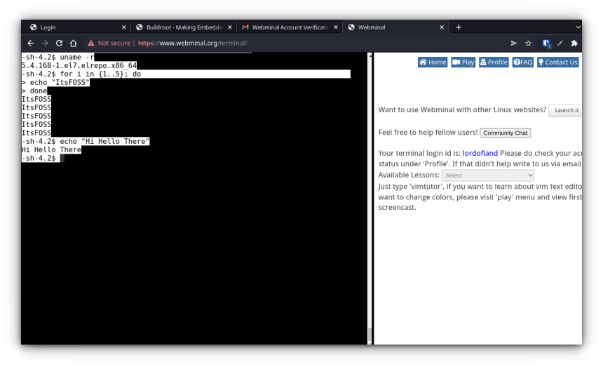 Best Online Linux Terminals and Online Bash Editors