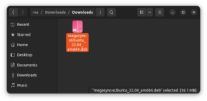 Install and Use MEGA Cloud Storage in Linux