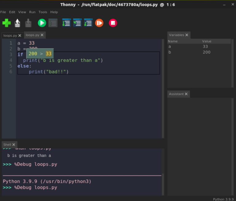 Thonny is an Ideal IDE for Teaching Python Programming in Schools