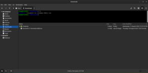 15 Ways to Tweak Nemo File Manager in Linux to Get More Out of it