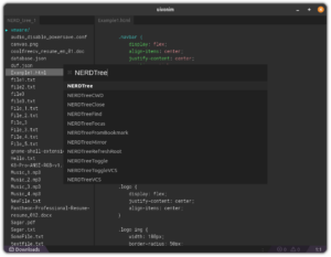 5 NeoVim GUI Editors You Could Try If You are Not a Total Terminal Junkie